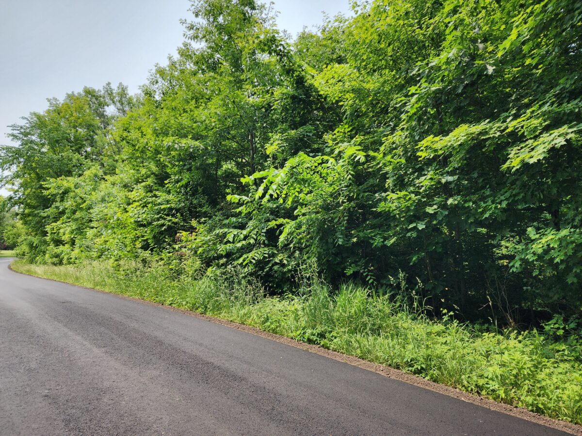 Parcher Road Land Parcel - Bess Blvd Real Estate Company Ltd